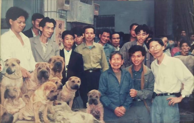 History | The chinese Shar Pei